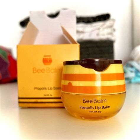 Bee Balm Skincare Bee Balm Propolis Lip Balm Nwot Poshmark