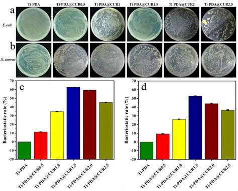 Boosting The Anti Infection Ability Of Titanium Implants By Coating Polydopamine Curcumin