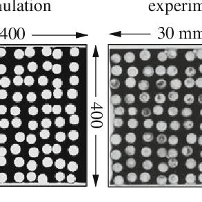 Sketch Of Porous Model To The Left The LB Realization Of The System Is