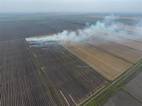 Premium Photo Burning Straw In The Fields After Harvesting Wheat Crop