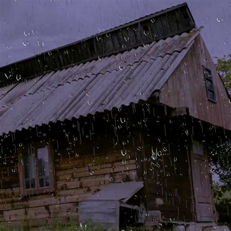Rain On A Tin Roof And Thunder Sounds Mp3 Stardust Vibes