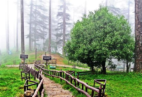 Ultimate Tour Of Mussoorie Dhanaulti With Kanatal And Rishikesh