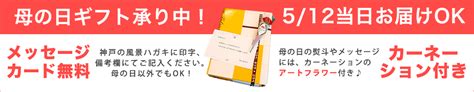 【楽天市場】【母の日 まだ 間に合う】神戸牛 焼肉 セット 極上 カルビ ＆ モモ（冷蔵）【あす楽対応】ギフト プレゼント 内祝い お返し お