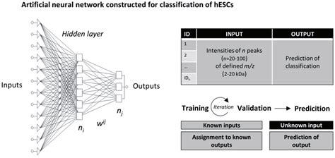 Architecture Of The Representative Artificial Neural Network Used For