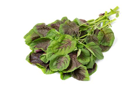 Amarante Feuilles Half Your Plate