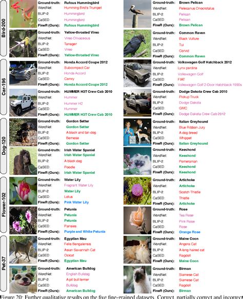 Table 1 From Democratizing Fine Grained Visual Recognition With Large