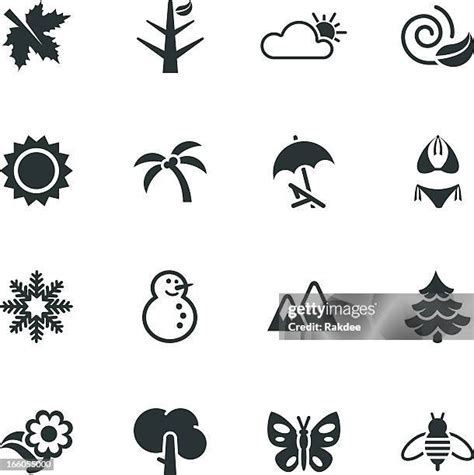 659 4 Seasons Icons High Res Illustrations Getty Images