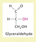 Chapter Biochem Flashcards Quizlet
