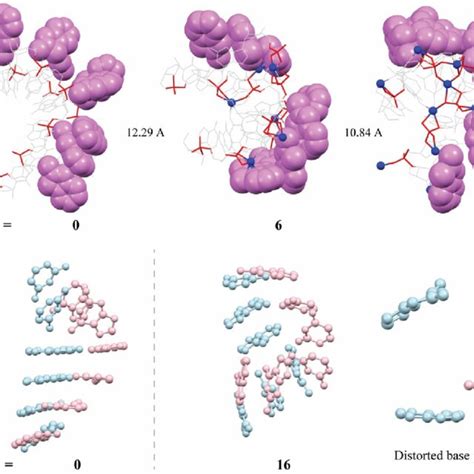 Side By Side Comparison Of Rna Duplex 4 7 Modeled With The Functional