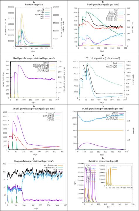 c immsim computational in silico immune simulation using the
