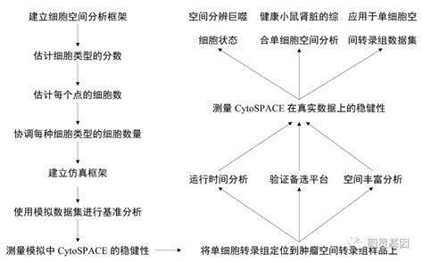 Nat Biotech 新方法比对单细胞和高分辨率空间转录组可重建复杂组织 知乎
