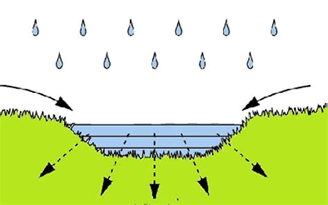 Infiltration Definition Proactively Managing Milk Quality By
