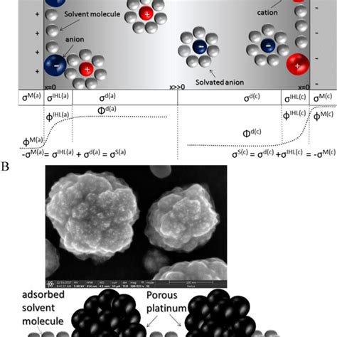 Initiation Of Porous Platinum Electrochemical Synthesis A Diagram Of