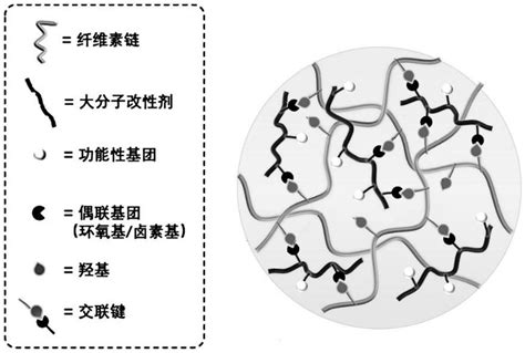 Cellulose Antibacterial Material As Well As Preparation Method And Application Thereof Eureka