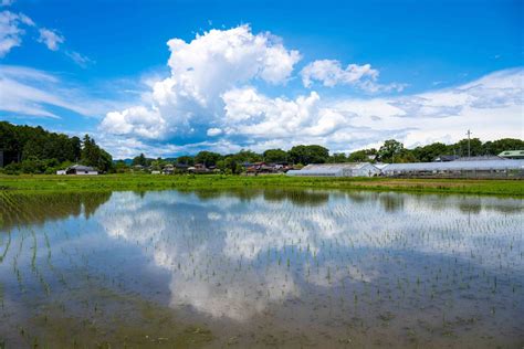 埼玉県寄居町 On Twitter シティプロモーション担当です。小園の田んぼに水が張られました。リフレクションが美しい今しか見られない