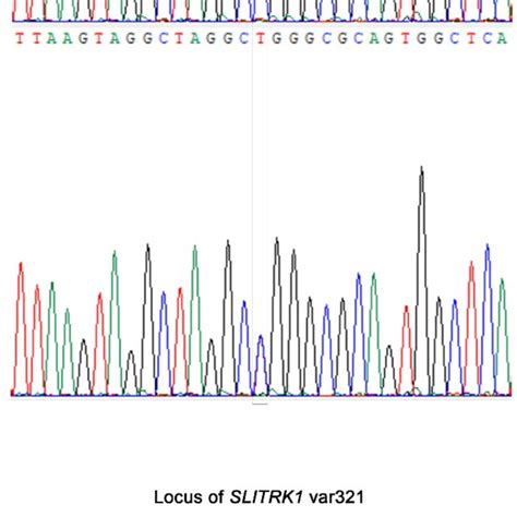 Sanger Sequencing Chromatograms Of The Targeted Dna Fragments Locus Of