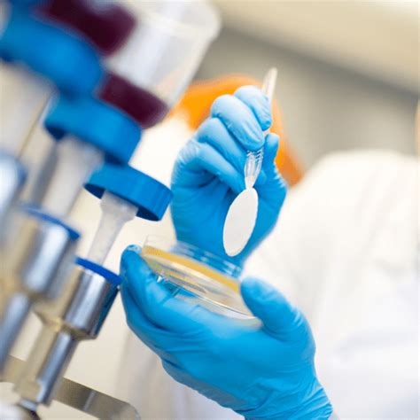 Antimicrobial Efficacy Testing Cormica Global Medical Device Testing