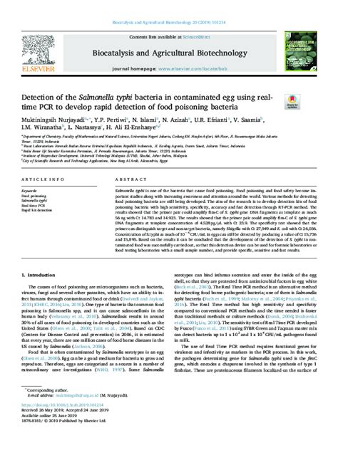 Pdf Detection Of The Salmonella Typhi Bacteria In Contaminated Egg Using Real Time Pcr To