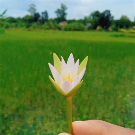 Nurun Nabi Mazumder Jeddah