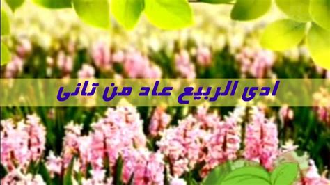 سلسله علم نفسك العزف ادى الربيع عاد تنفيذ واخراج هانى سمير سلامه