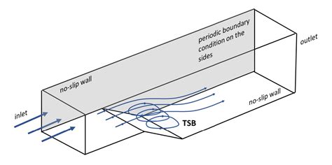 Dynamics Of Turbulent Separation Bubbles Tu Berlin