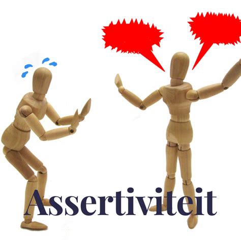 Assertiviteit De Schakel