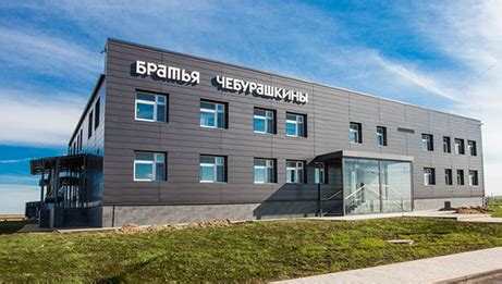 Братья Чебурашкины: фермеры нового поколения – АГРАРИЙ