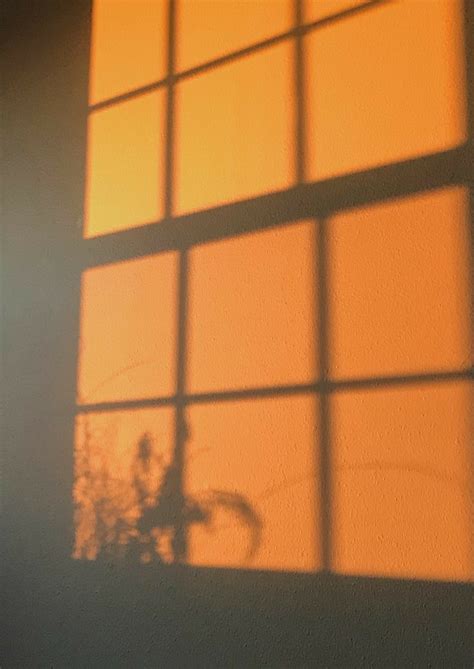 For The Lovers Of Sun Kaiya Shadow Pictures Window Shadow Light