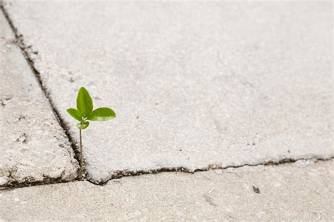 Level Up Your Sidewalk Game The Ultimate Solution Foamworks