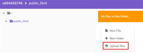 Cara Upload Website Secara Manual Di IDHostinger