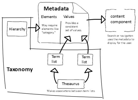 taxonomy and metadata what are the differences picvario