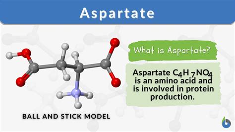 Aspartate Structure Formula
