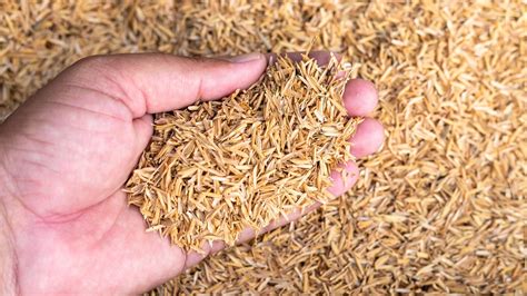 How To Hull Wheat By Hand