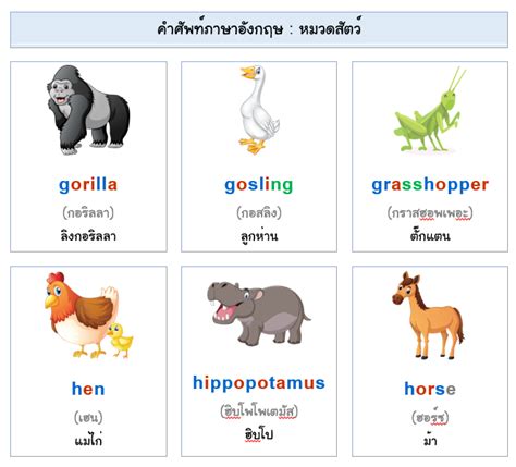 พบกับคำศัพท์ภาษาอังกฤษในรูปแบบ Engdict เรียนภาษาอังกฤษ