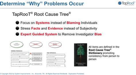 Taproot® System Improvements Inc On Linkedin This Small But Mighty Taproot® Root Cause Tree