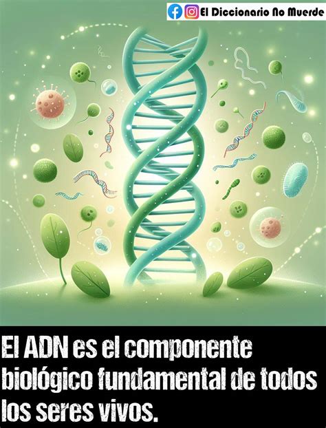 Significado De Componente