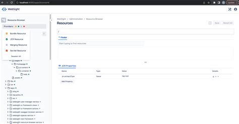Application Development Websight Cms
