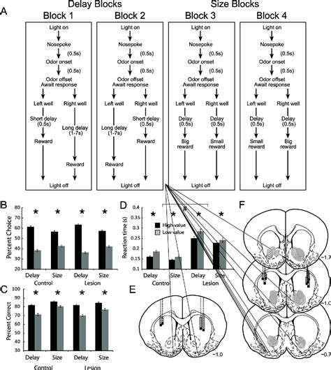 Figure 1 From Ventral Striatum Lesions Enhance Stimulus And Response Encoding In Dorsal Striatum