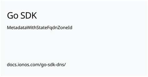 metadatawithstatefqdnzoneid go sdk