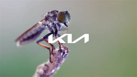 First Class Drones On Linkedin Micro Fpv Work For A Kia