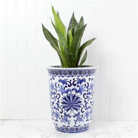 Charlton Home® Luka Porcelain Pot Planter And Reviews Wayfair