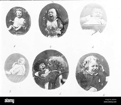 Illustration The Expression of Emotions in Man and Animals by Charles ...