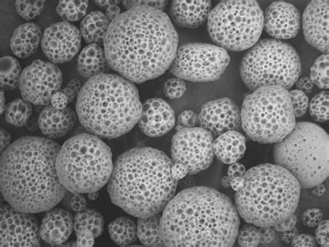 Microspheres Drug Delivery