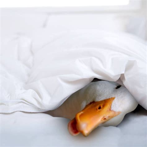 Pin By Cindy Davis On Little Friends Aflac Duck Cute Ducklings Duck