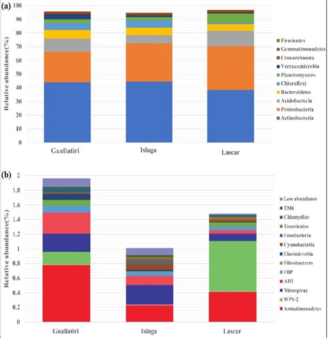 Mean Relative Abundances Of Major A And Minor B Phylum Level Taxa