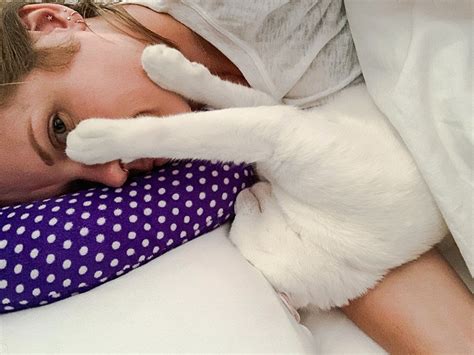 Cat Chit Chat Touch And Body Language Are More Effective Than Vocalisations When Communicating