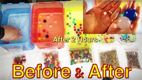 Orbeez Water Balls Before And After How Big Do They Bounce Youtube