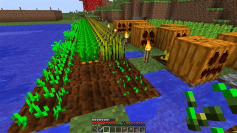 Семена пшеницы Как сделать в Майнкрафт