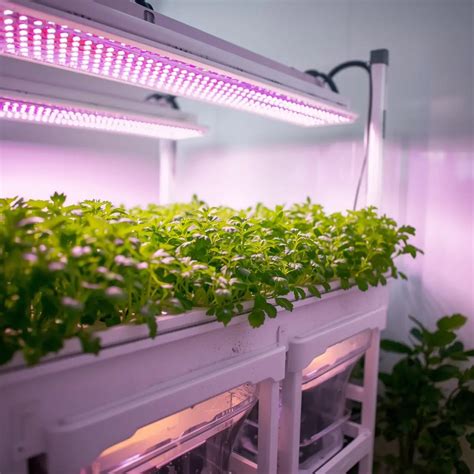 10 Benefits Of Hydroponics Why It Beats Soil Gardening 2026