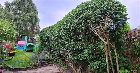 Stugg Album On Imgur